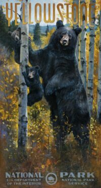 Jennifer Johnson – Best Artist in Denver